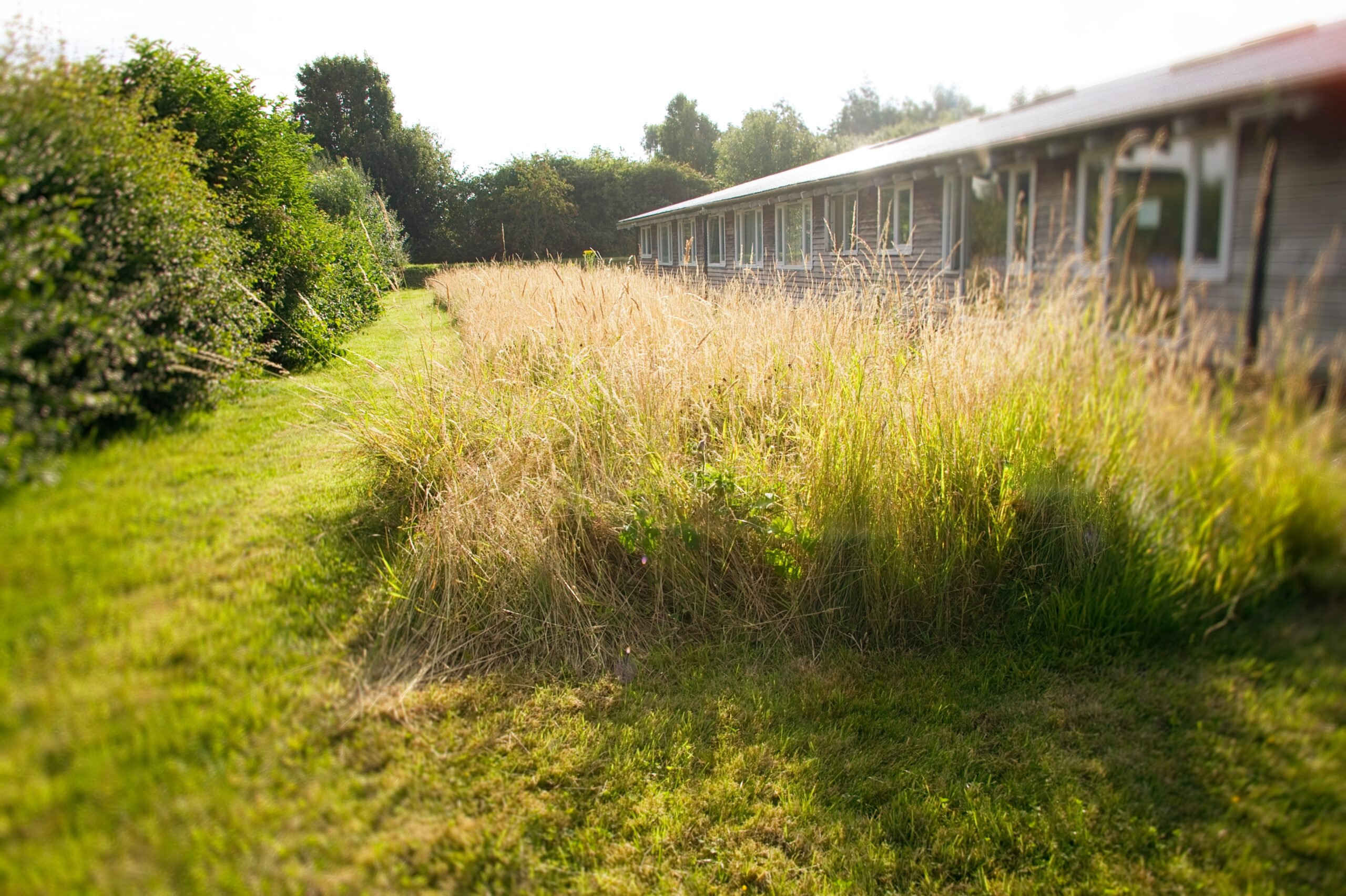 The Surgery Kingstone - The Surgery, Kingstone, Herefordshire, HR2 9HN