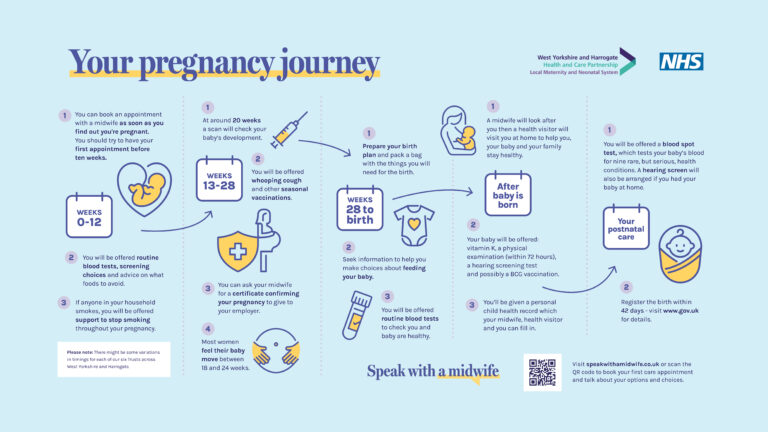 My Pregnancy Notes - Maternity Notes Online