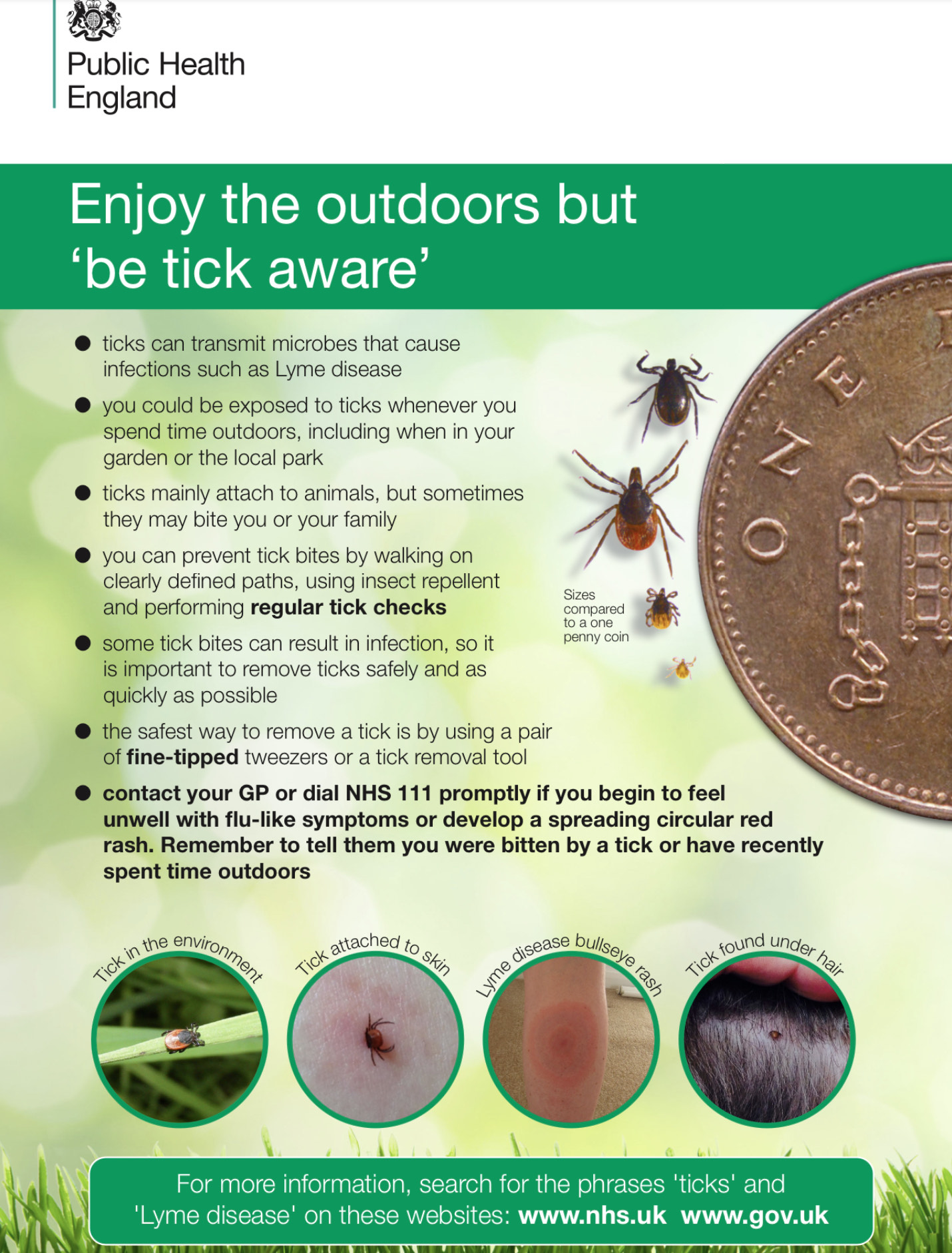 How to be Tick aware this summer - Wistaria and Milford Surgeries